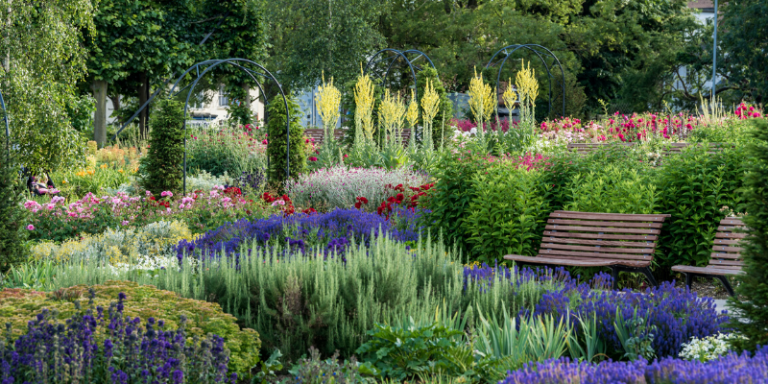 Explore Campus – Landscape Institute Campus