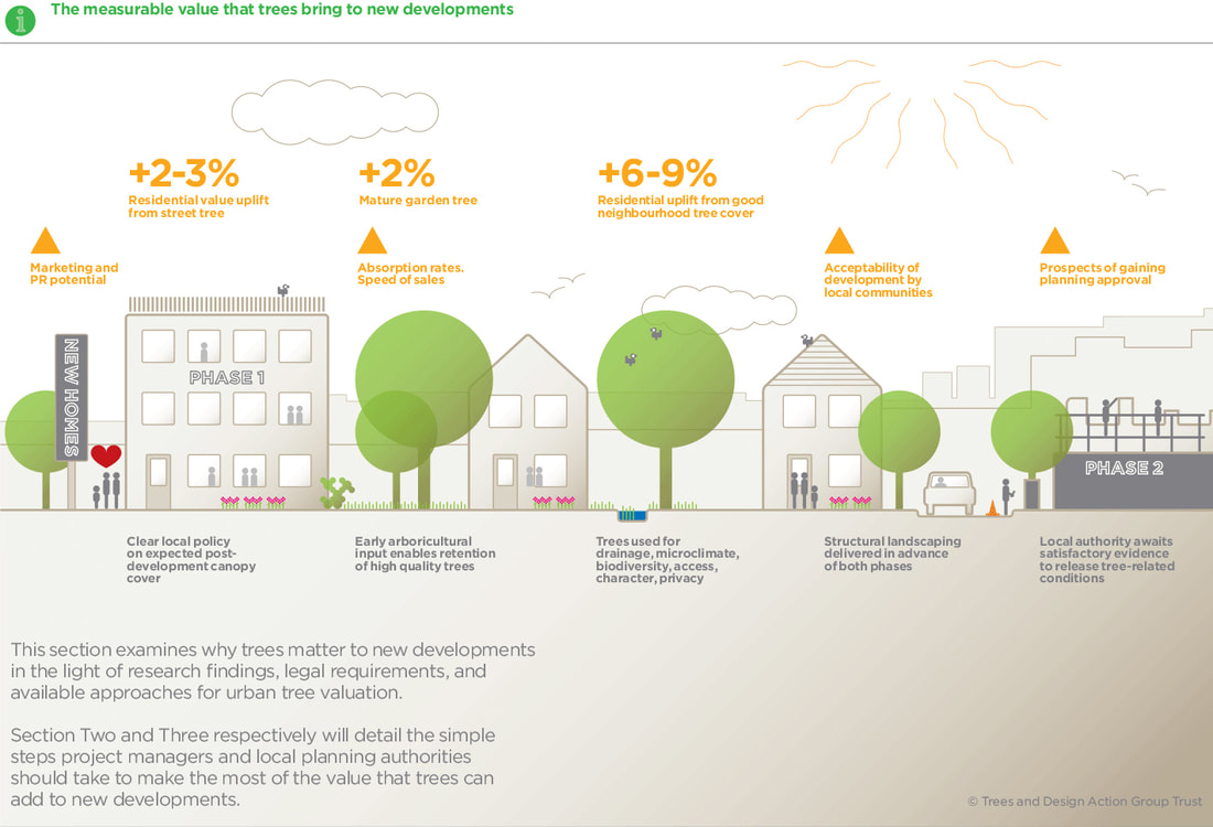 TDAG publishes first section of Trees, Planning and Development: A ...