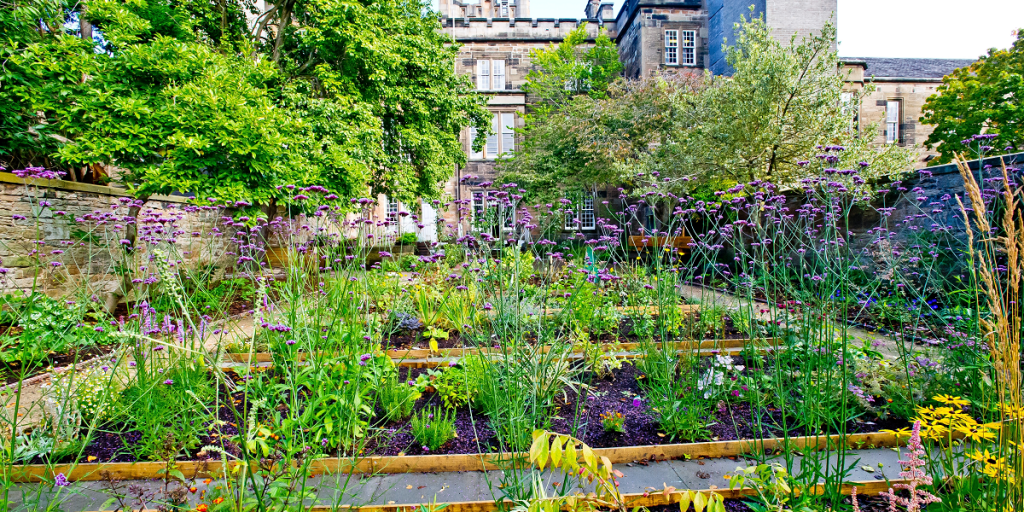 Delivering health and wellbeing using NHS greenspace: demonstration ...