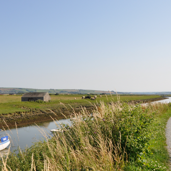 Landscape Institute | Connecting people, place and nature