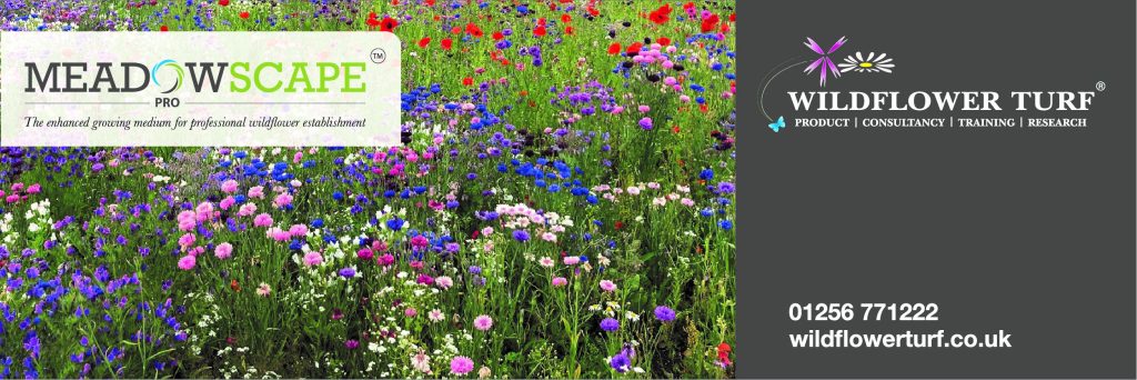 Meadowscape Pro Blog | Landscape Institute