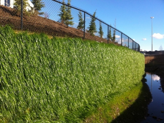 Vegetated wall system promises erosion resistance and extreme ...